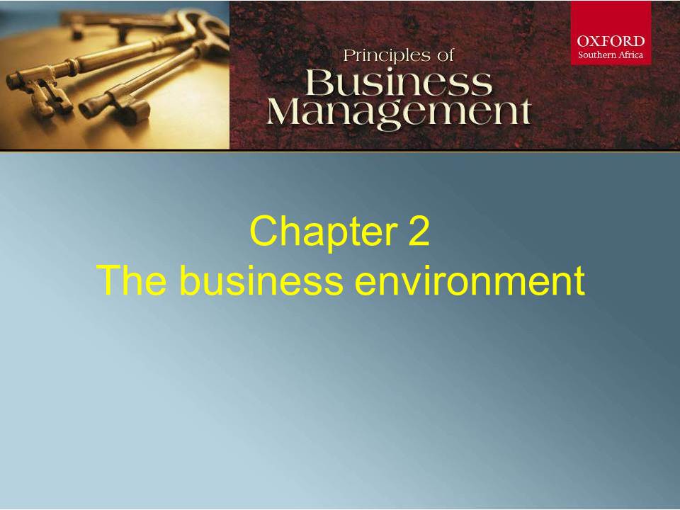 THE BUSINESS ENVIRONMENT